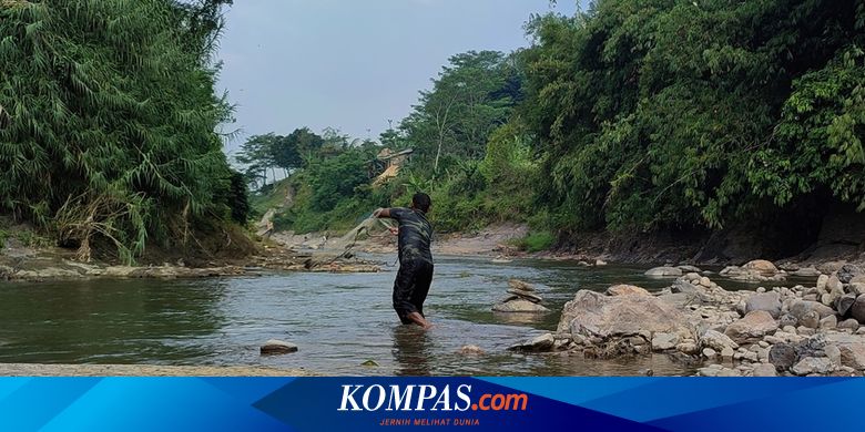 Tanggal 27 Juli 2024 Memperingati Hari Apa?
