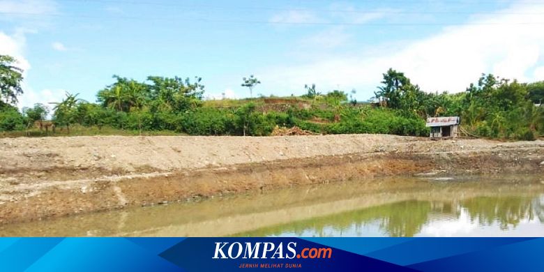 Berkat Pembangunan Embung dari Kementan, Petani di Sumsel Panen 5,5 Ton ...