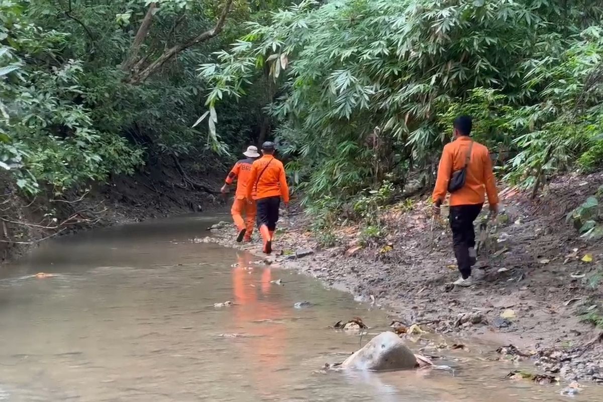 Nenek 74 Tahun di Buton Selatan Hilang di Hutan, Sepekan Belum Ditemukan