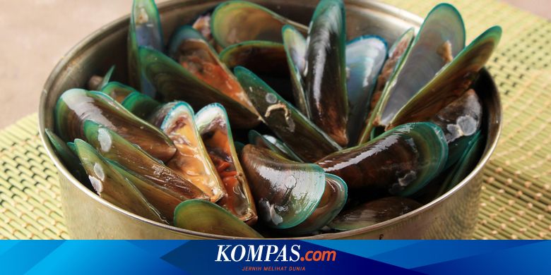 8 Jenis Kerang yang Biasa Diolah di Indonesia, Tidak Cuma Kerang Hijau