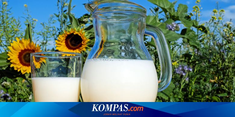 Imbas Demo Buang Susu di Boyolali dan Pasuruan, Kementan Larang 5 ...