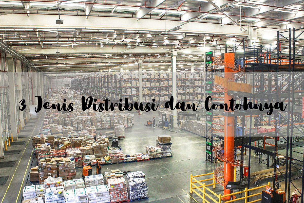 3 Jenis Distribusi dan Contohnya