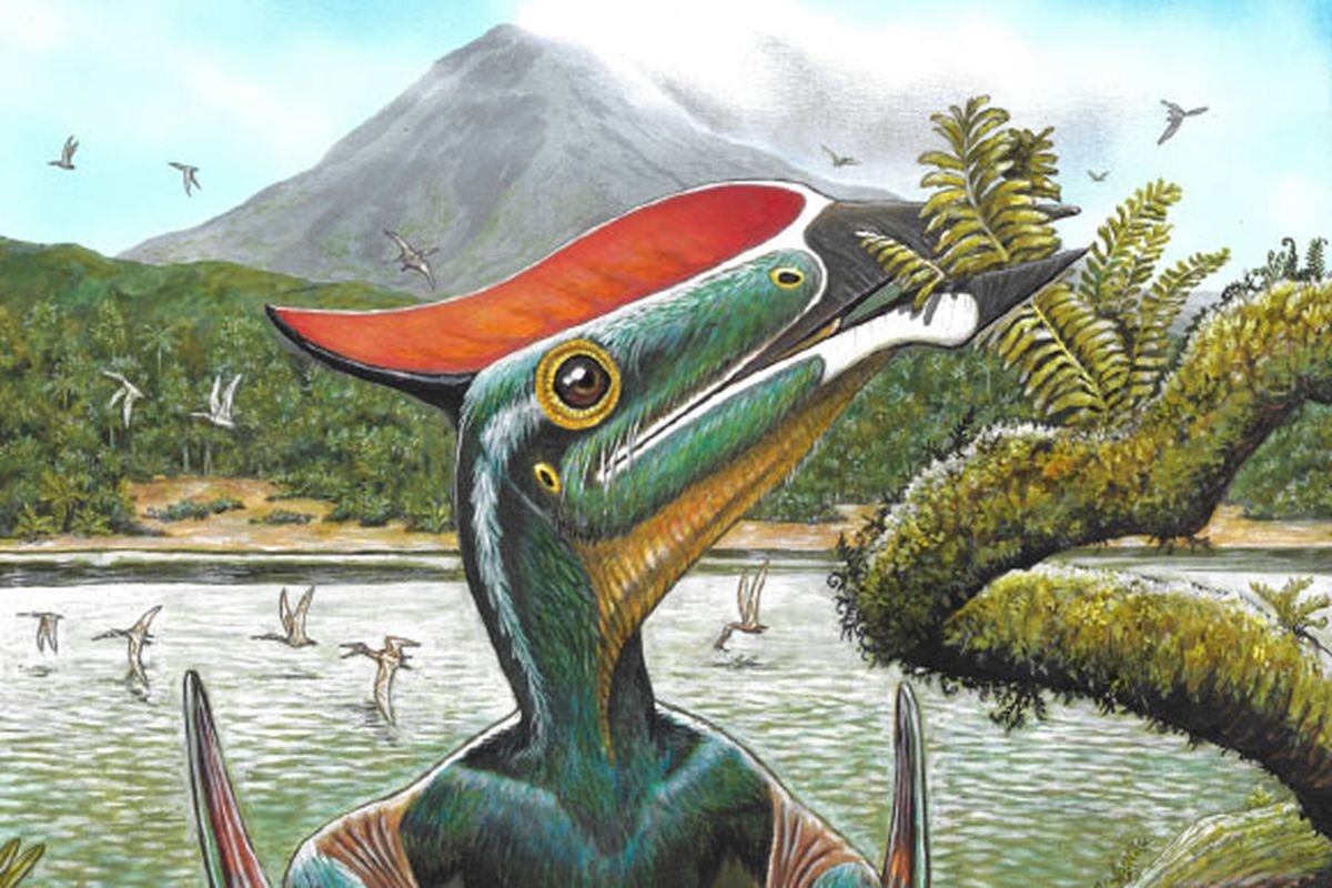 Fosil Ungkap Bukti Pertama Keberadaan Pterosaurus Pemakan Tumbuhan