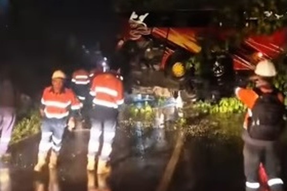 Bus Tertimpa Pohon Tumbang di Luwu Timur, Sopir Masih Terjepit di Dalam ...