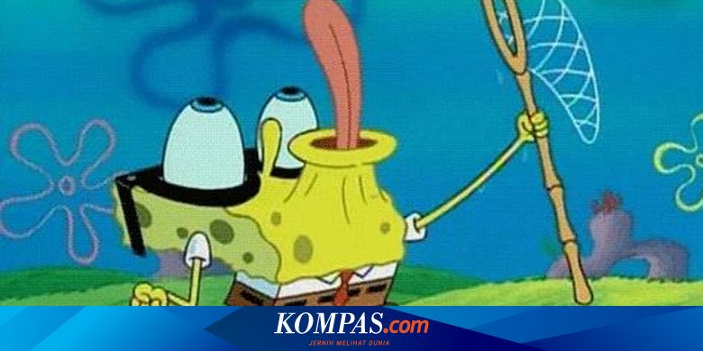 SpongeBob SquarePants Hewan Laut Apa?