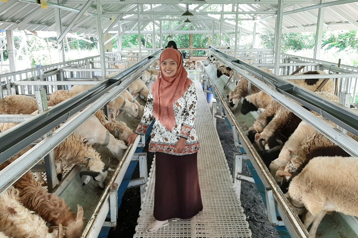 Cerita Vita, Berhenti Jadi Dosen Berstatus PNS, Pilih Beternak Kambing ...