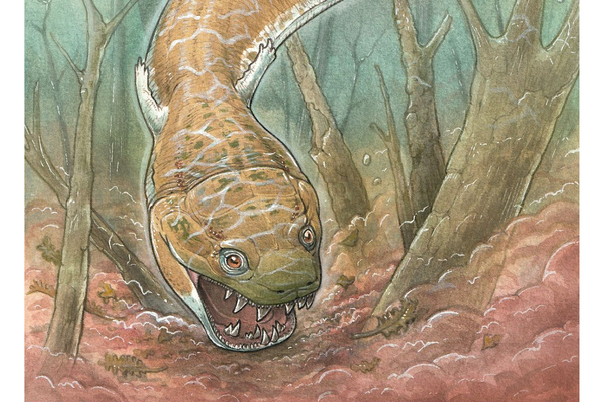 Makhluk Mirip Salamander Jadi Predator Puncak Sebelum Dinosaurus