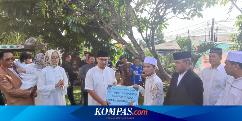 Wakil Walkot Tangsel Salurkan 88 Hewan Kurban, Termasuk Hasil ...