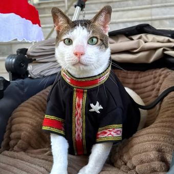 Bobby Kertanegara Pakai Kemeja Biru Saat Upacara Penurunan Bendera