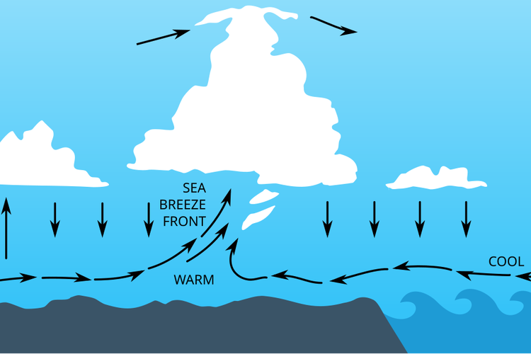 Foto : Apa itu Angin Laut dan Angin Darat? Ini Penjelasan dan Perbedaannya!