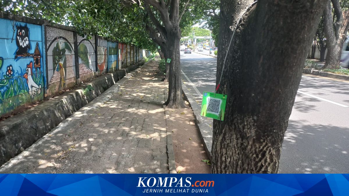 Pemasangan Barcode 1.500 Pohon di Depok Habiskan Rp 48 Juta, DLHK Harap ...