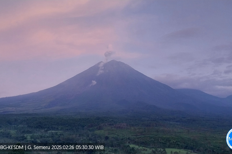 Foto : Gunung Semeru Alami 8 Kali Erupsi, Luncurkan Abu Vulkanik Setinggi 800 Meter