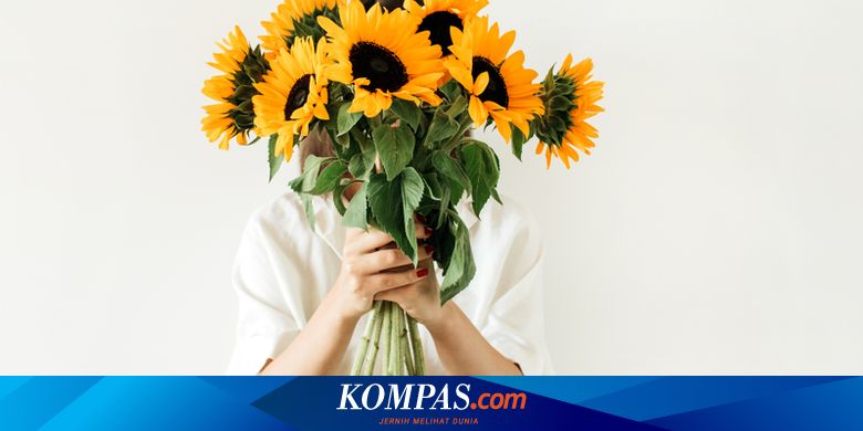 Makna Bunga Matahari di Berbagai Kebudayaan