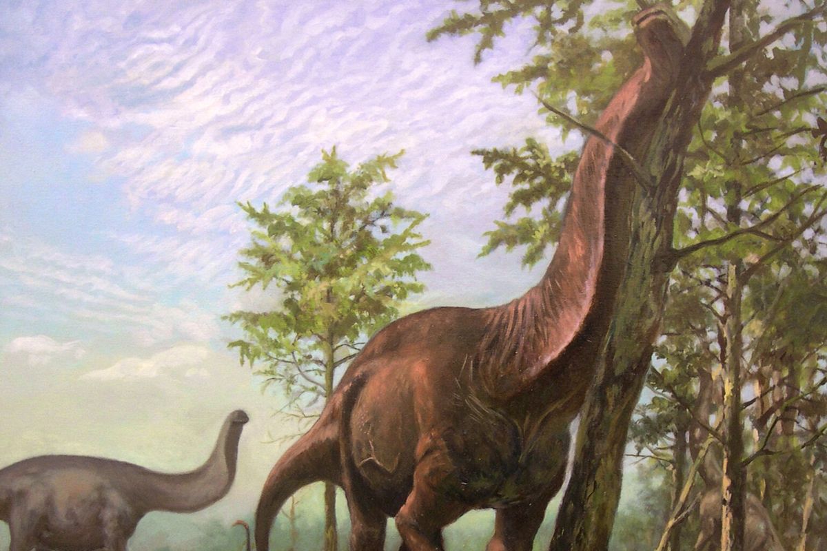 Imuwan Ungkap Dinosaurus Berleher Panjang Sauropoda Hanya Hidup di ...