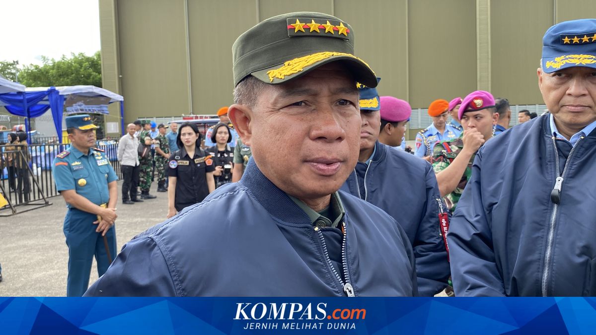 Panglima TNI Bentuk Koops Habema Tangani Konflik di Papua
