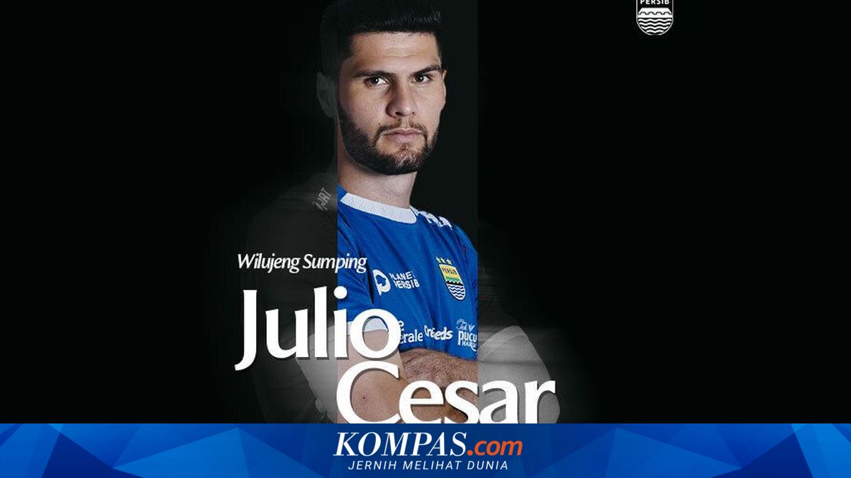 Profil Julio Cesar Benteng Baru Persib Bandung Asal Brasil
