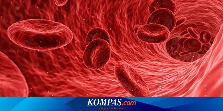 Darah Berwarna Merah tapi Kenapa Pembuluh Darah Berwarna Biru? Ini ...