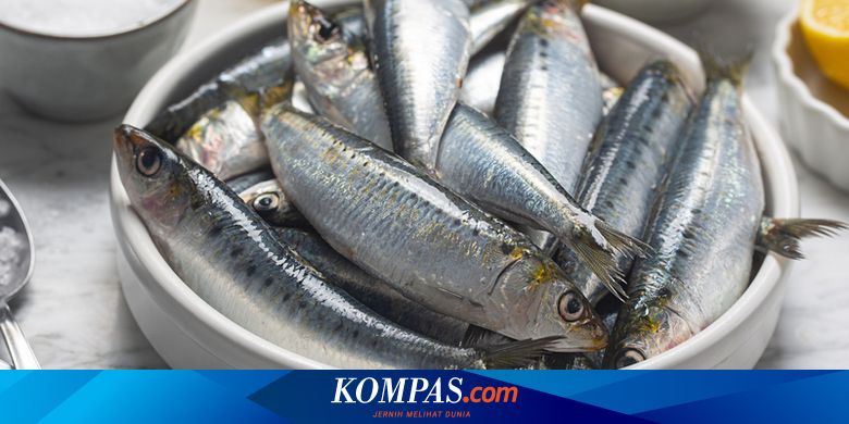 Makan Ikan Bantu Kurangi Risiko Pikun dan Alzheimer