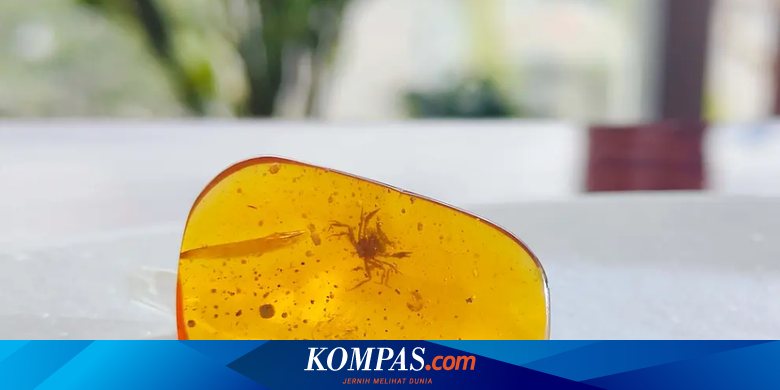 Peneliti Temukan Kepiting Era Dinosaurus Terjebak di Batu Ambar