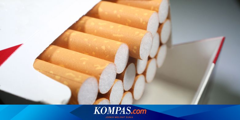 Pemerintah Diminta Tak Gagal Lagi Turunkan Tingkat Perokok Anak Tahun 2024