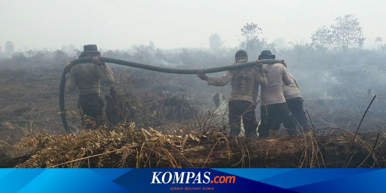 Kebakaran Hutan dan Lahan di Riau Meluas hingga 12 Titik