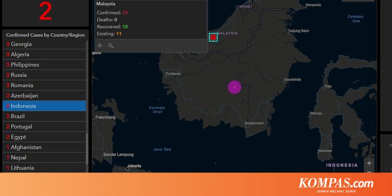 Positif Terinfeksi, Indonesia Resmi Masuk Peta Sebaran Virus Corona Global
