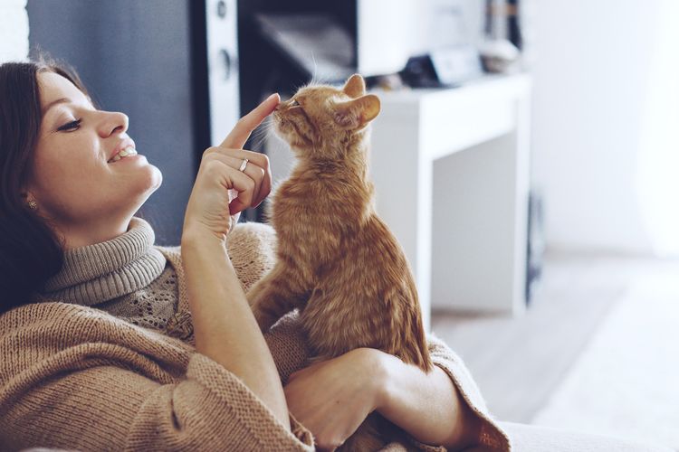 5 Alasan Mengapa Kucing adalah Peliharaan yang Baik