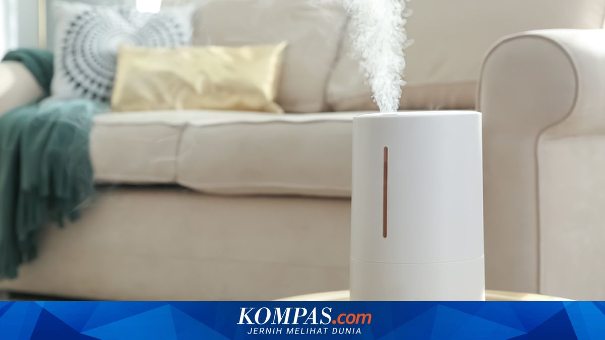2 Beda Air Purifier dan Humidifier untuk Kesehatan