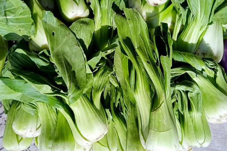 3 Cara Pilih Pakcoy Segar di Pasar, Aman Beli yang Daunnya Berlubang?