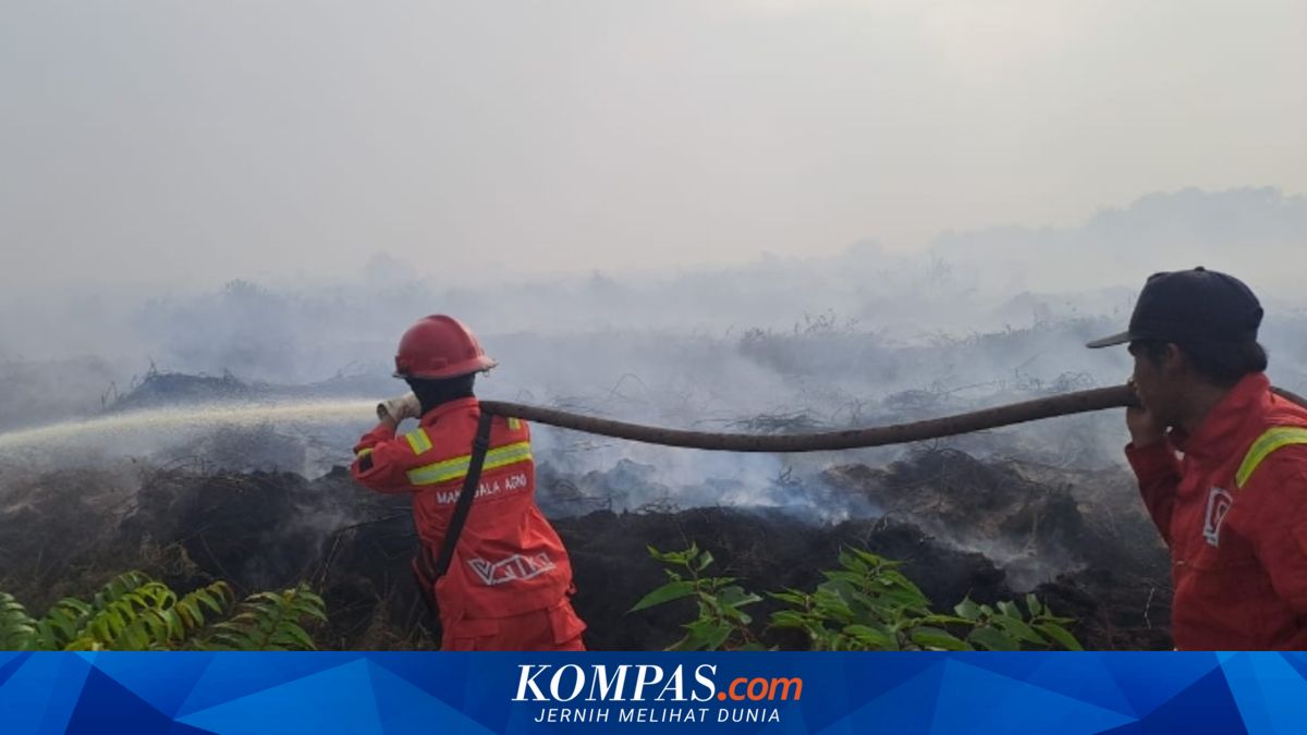 Karhutla Riau Tembus 15.318 Hektare dalam 5 Bulan, Lahan Gambut Jadi ...