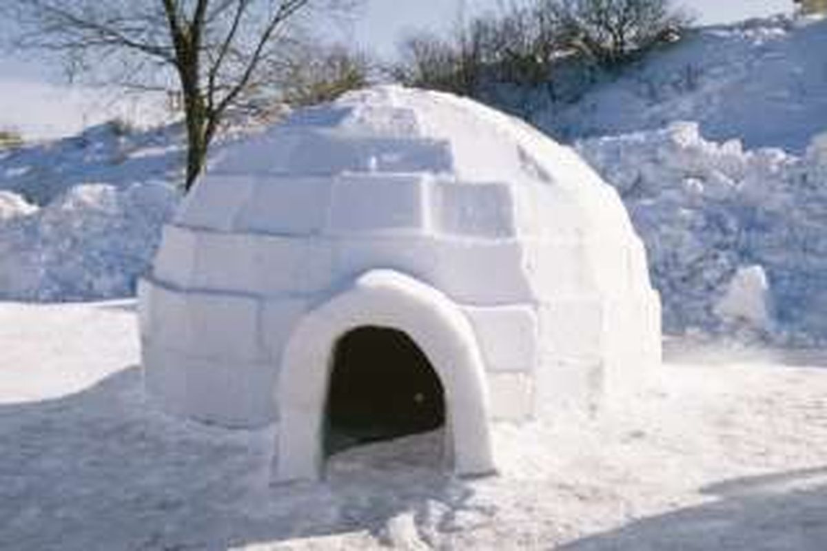 Fakta Unik Igloo, Rumah Bola Suku Inuit di Greenland yang Tahan Badai