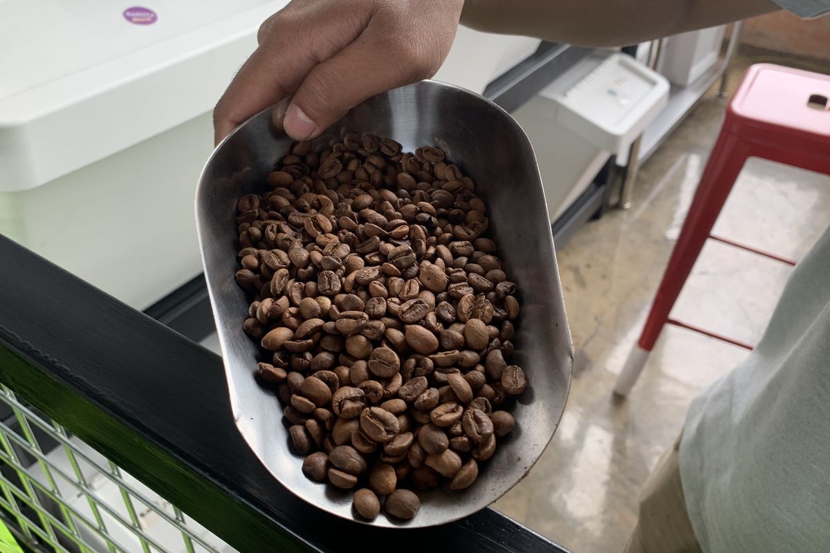 Kopi Solok Radjo, dari Lereng Gunung Talang ke Cangkir Dunia