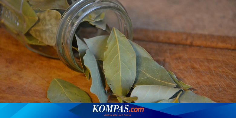 13 Manfaat Daun Salam, Atasi Asam Urat hingga Cegah Rambut Rontok