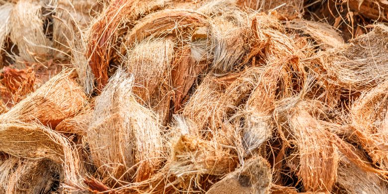 Potensi Sabut Kelapa yang Masih Terbuang