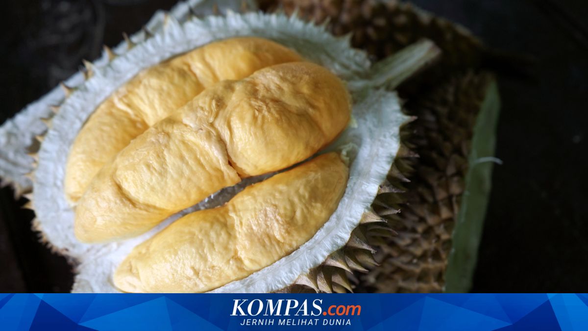 Mengenal Durian Bawor Banyumas, Rasa Manis Legit Berpadu Sedikit Pahit ...