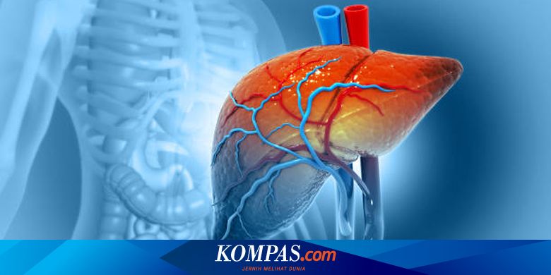 Ketahui Apa Itu Abses Hati yang Dialami oleh Hotman Paris