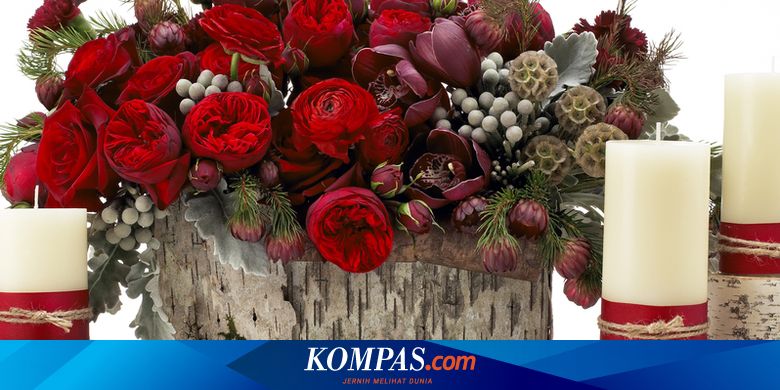5 Bunga yang Bisa Dijadikan Dekorasi Natal