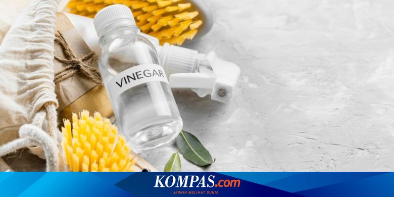 Sama-sama Membersihkan, Ini Perbedaan Cuka Putih dan Cuka Pembersih