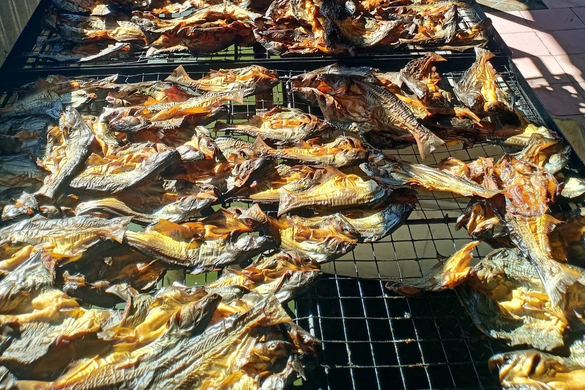 Mengenal Si Pujuk Farm, Bisnis Olahan Ikan Sukses dari Sumatera Barat