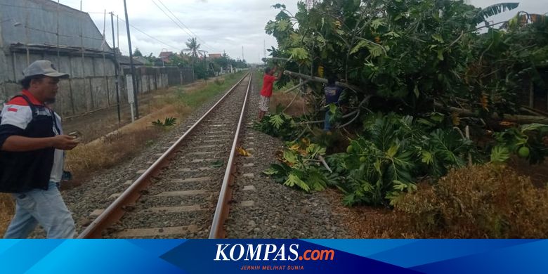 Lokasi Jalur Kereta Api di Daop 5 Purwokerto yang Rawan Bencana, Mana Saja?