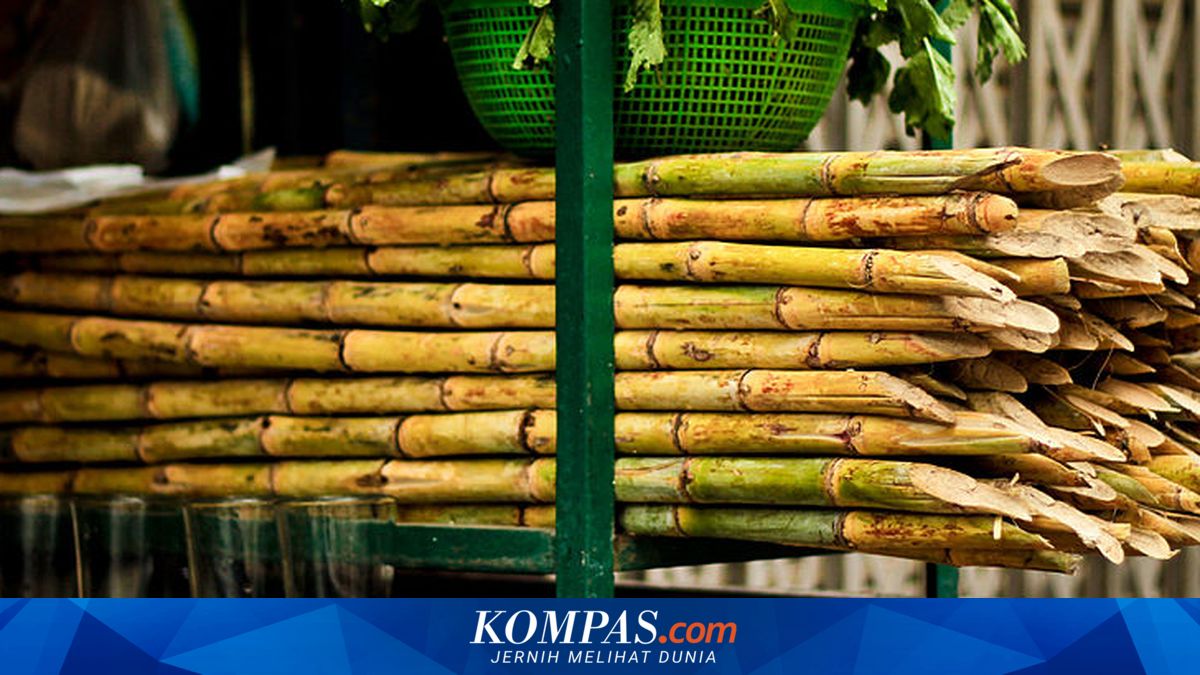 Industri Gula Diminta Serap Hasil Panen Petani Tebu Sesuai Harga Acuan