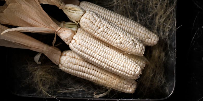 Ciri-ciri Jagung Ketan yang Berbeda dengan Jenis Jagung Lainnya