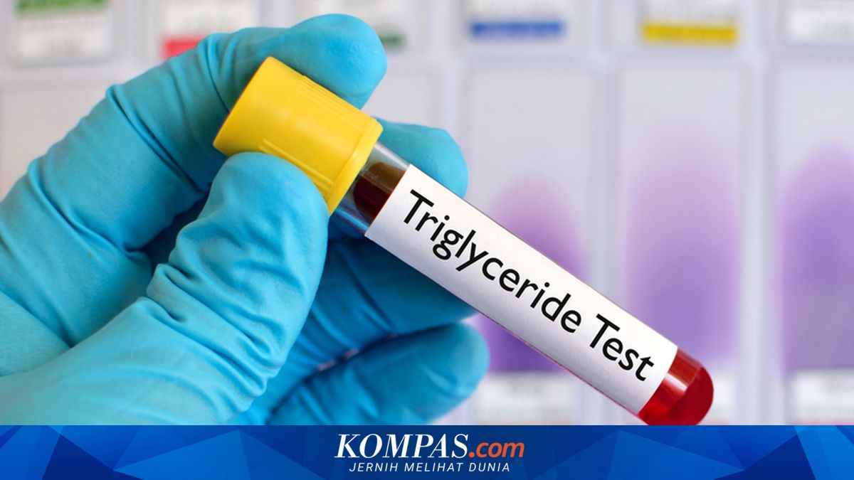 Berapa Kadar Trigliserida Normal di Dalam Darah?
