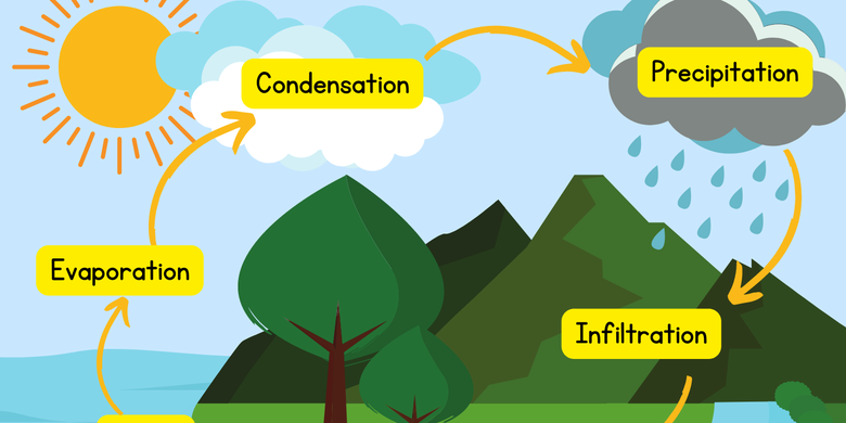Pengertian Infiltrasi, Proses, Faktor dan Manfaatnya bagi Kehidupan