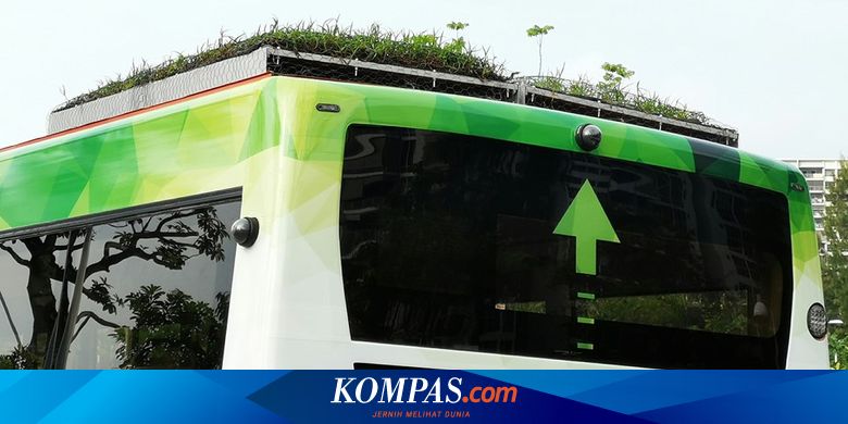 Tak Hanya Bangunan, Atap Hijau Kini Bisa Ditemui di Bus