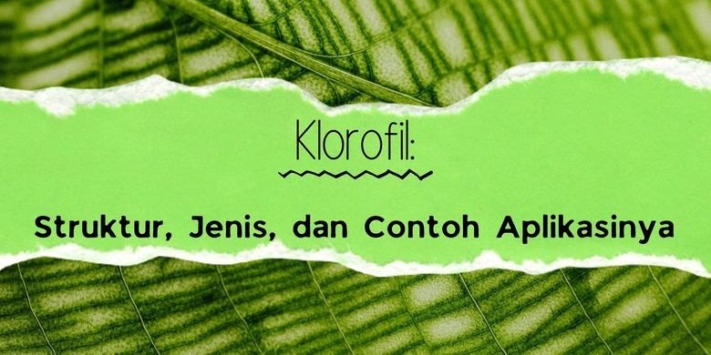 Klorofil: Struktur, Jenis, dan Contoh Aplikasinya