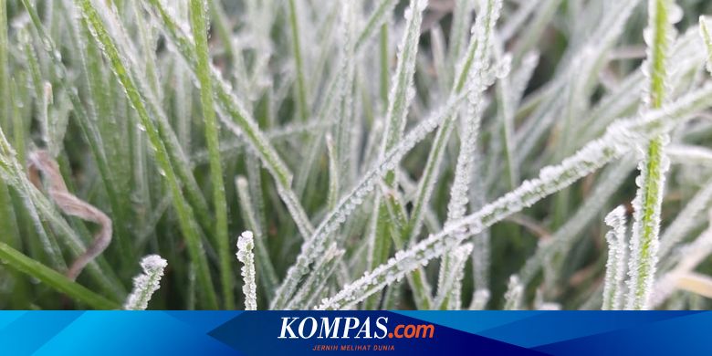 Ada Fenomena Embun Es di Dieng, Ini Tips Melihatnya