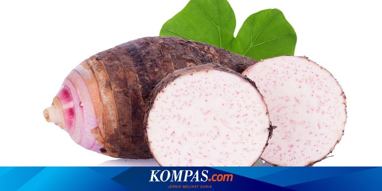 Berita Harian Apa Itu Talas Terbaru Hari Ini - Kompas.com