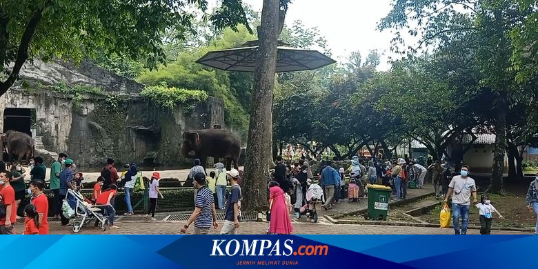 3 Tips Sewa Sepeda di Kebun Binatang Ragunan, Jangan Lupa Bawa KTP
