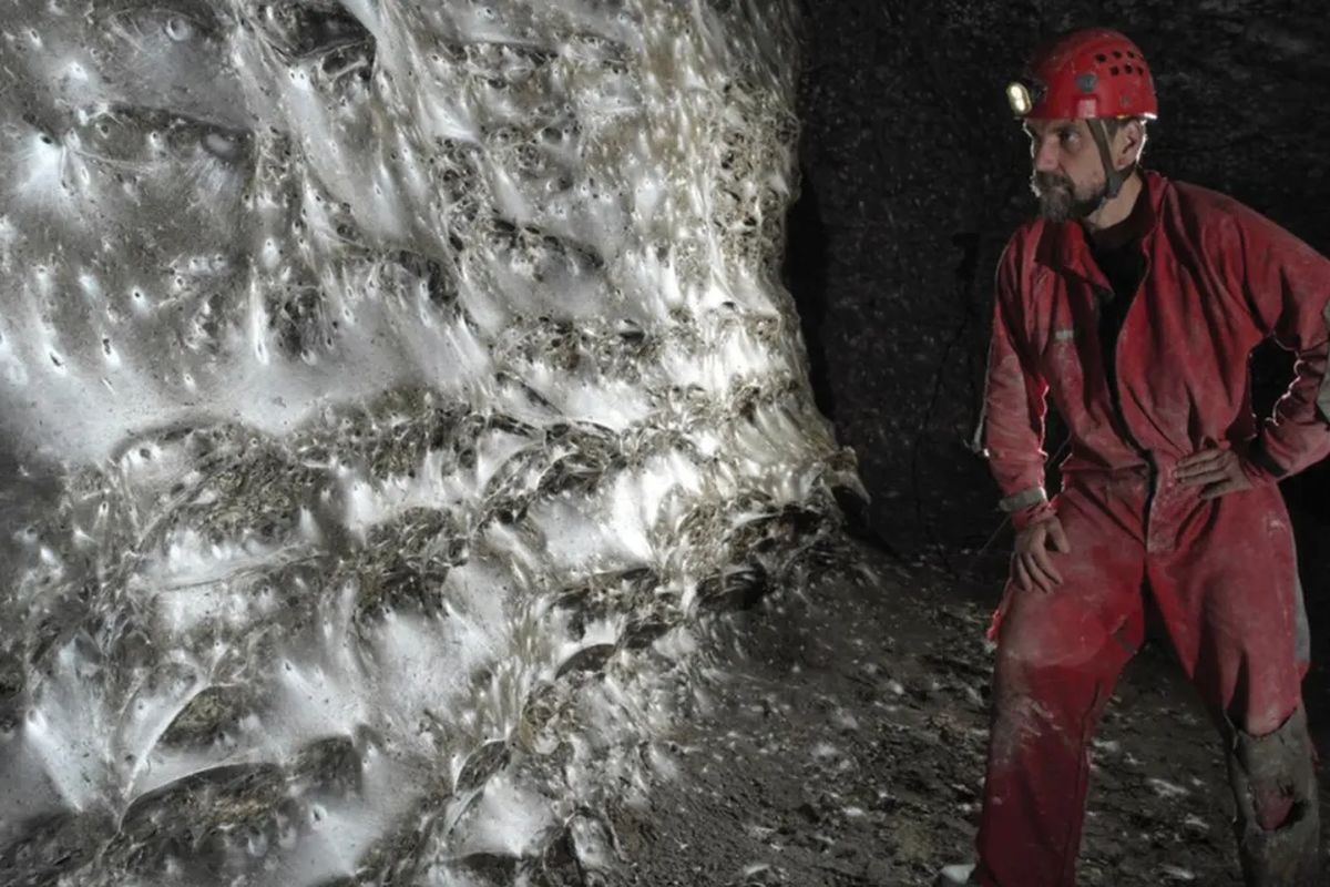 Jaring Laba-Laba Terbesar di Dunia Ditemukan di Gua Sulfur, Luasnya 106 ...